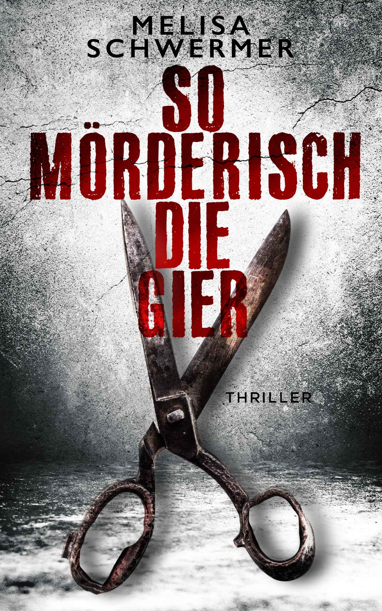 Neues Cover | Melisa Schwermer